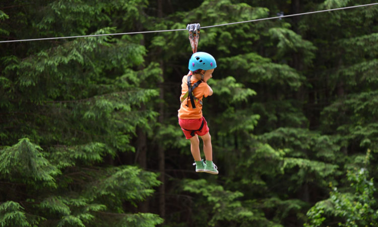 8 Best Kids Zipline Kits Reviews In 2024