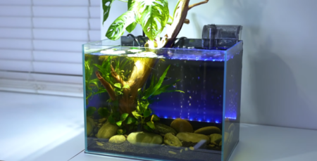 12 Best Fish Tank For Kids 2024 - Buying Guide & Reviews